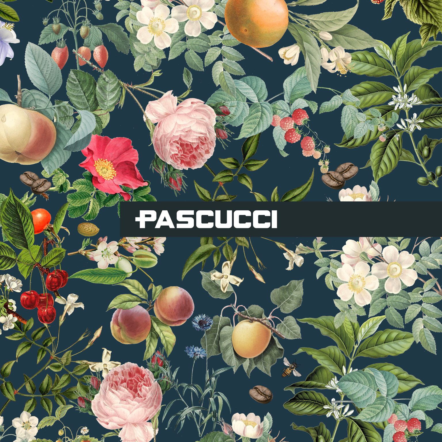 Pascucci homepage - Pascucci España